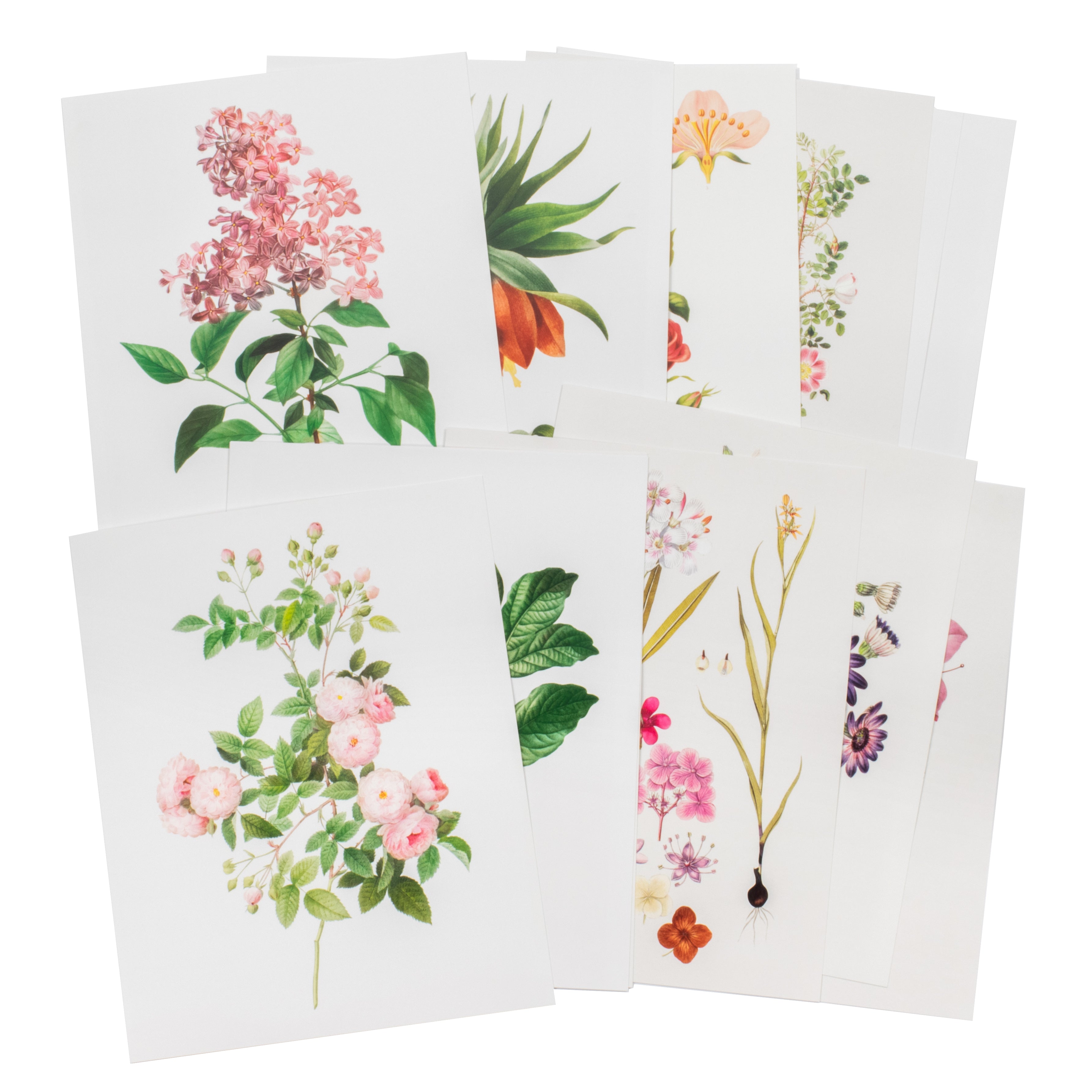Vintage Flower Posters 12 Set – Artivo
